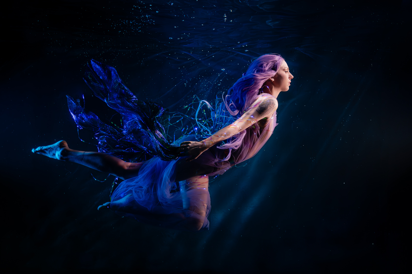 Andrew Kirkby_Aquatic Colours_1 | Jaguar Photographic Society